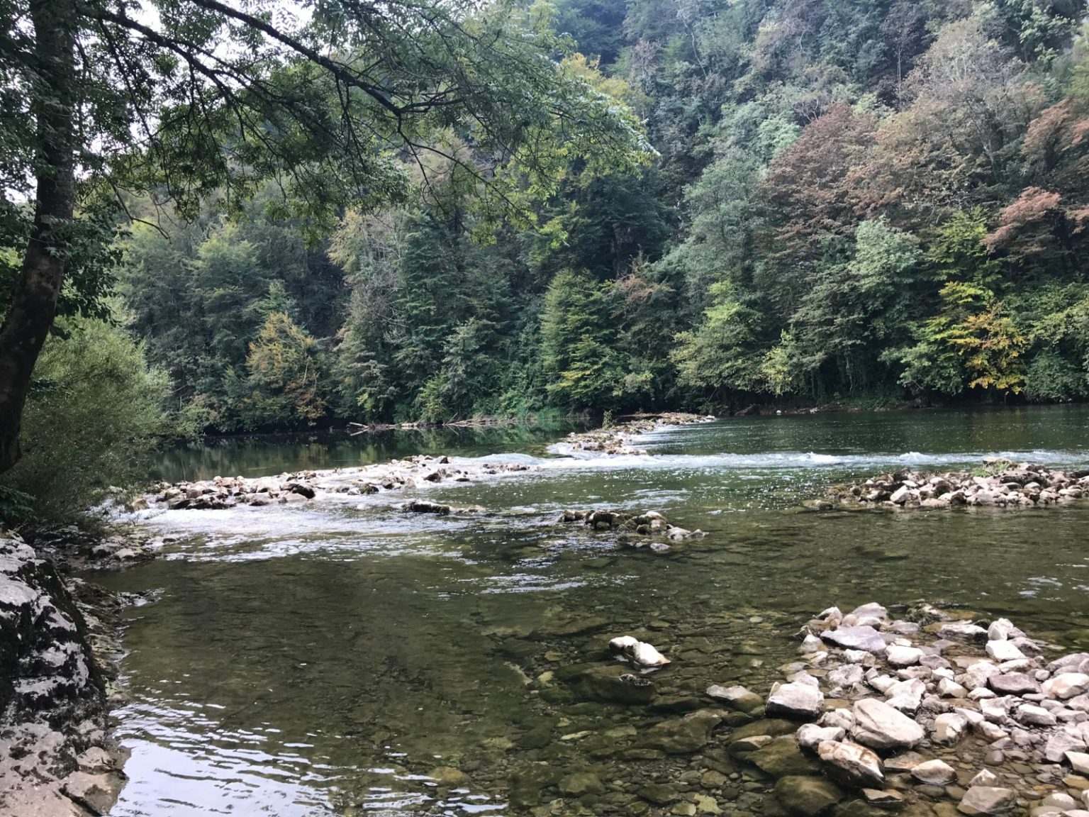 Program - Zeleni grad - Možemo! Karlovac